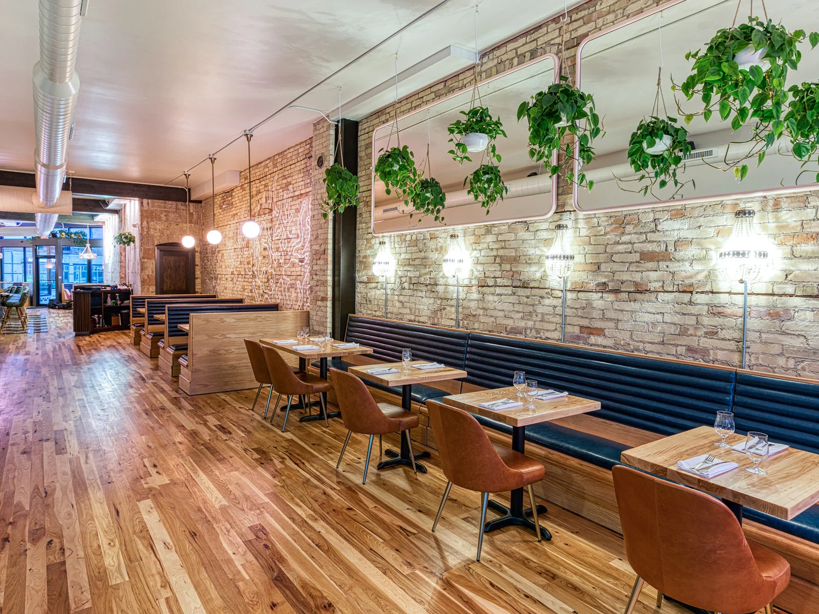 Bar Corallini | Commercial Construction